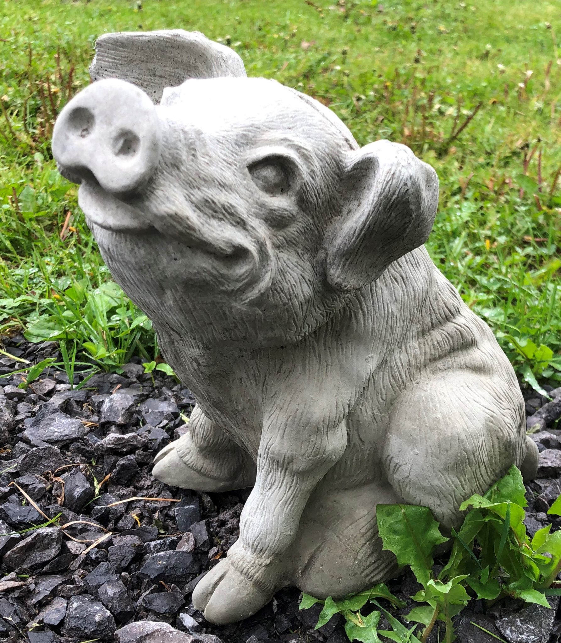 Charlotte, the sitting pig – Statue Canada